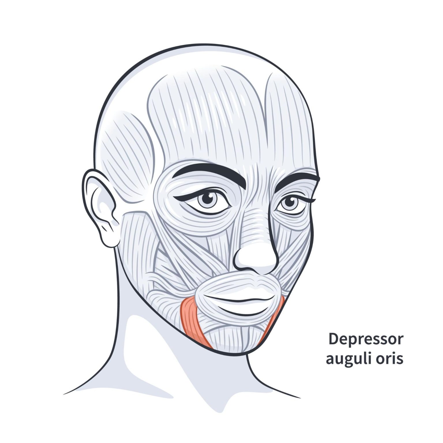 botox - V Square Clinic